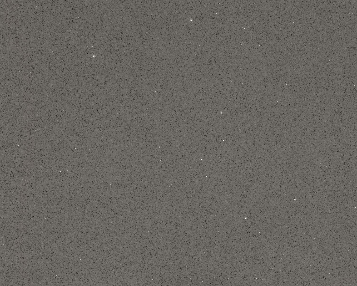 STELLAR GREY - Capital Granite